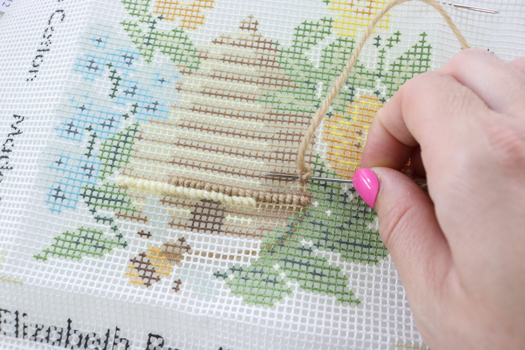 Needlepoint For Beginners - Raising Nobles
